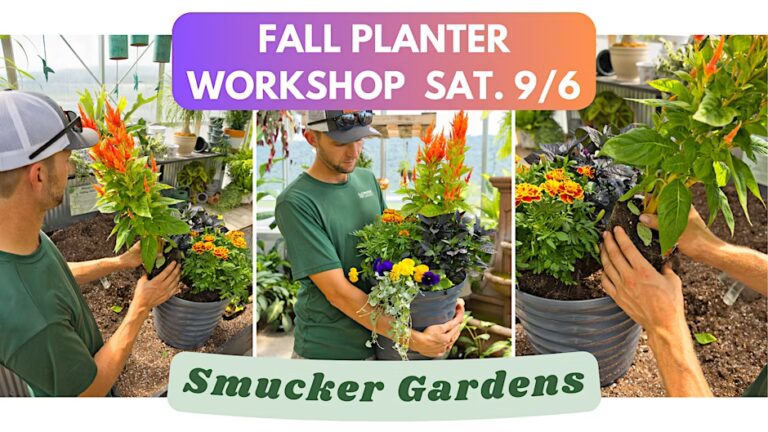 Fall Planter Workshop – Smucker Gardens